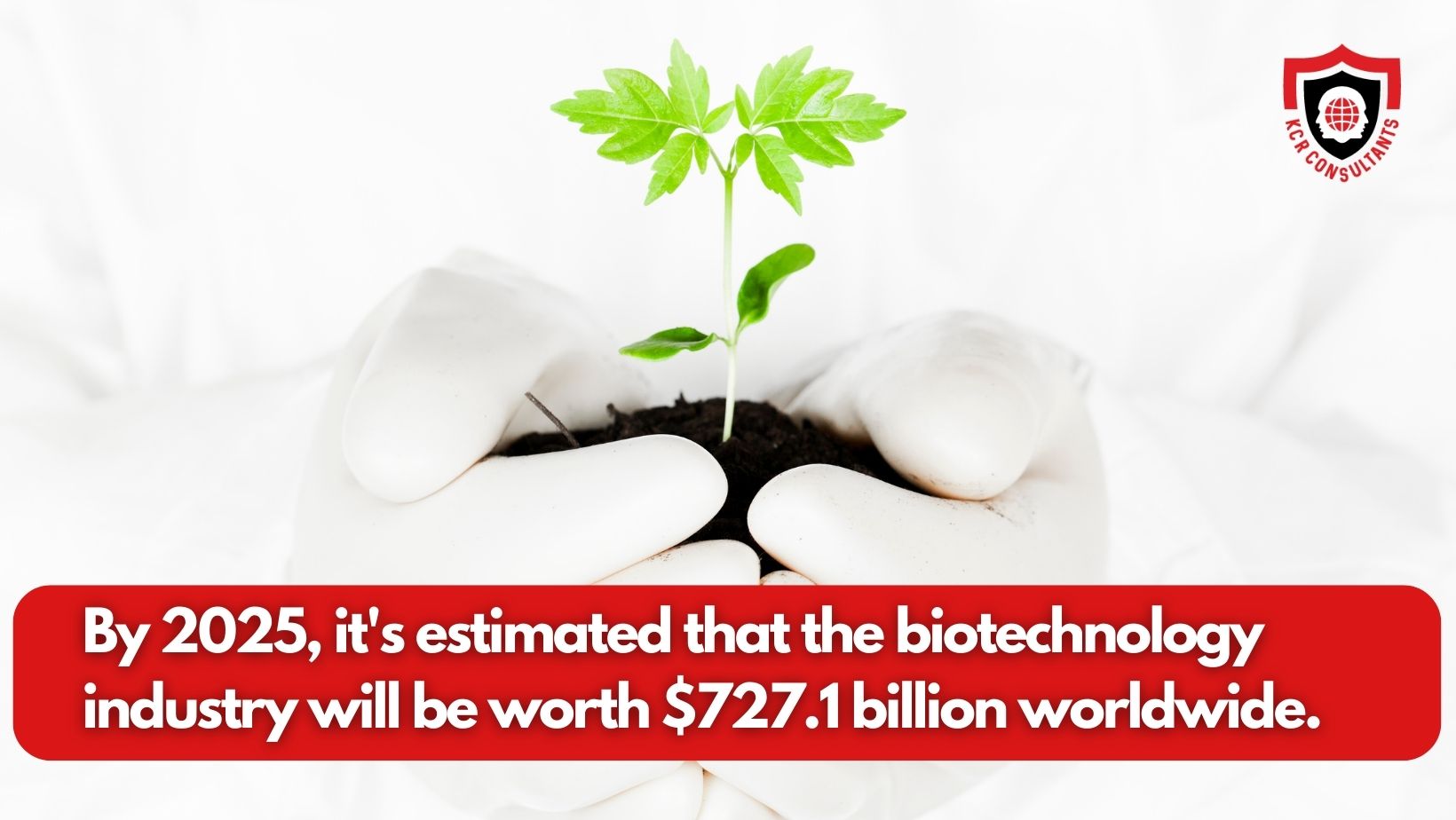 Masters in Biotechnology in Germany